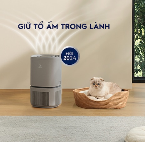 Electrolux Việt Nam | Đồ Điện Gia Dụng | Mua Hàng Online
